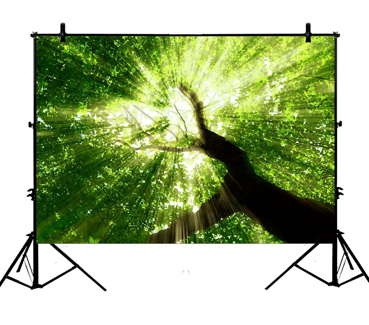 PHFZK 7x5ft Natural Landscape Backdrops, Tree of Life Forest Tree Green ...