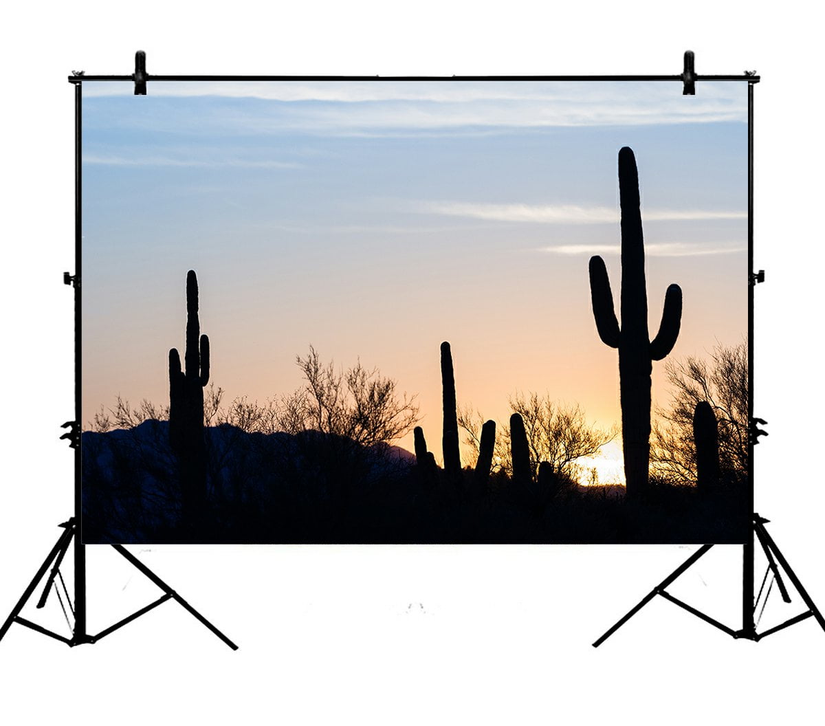 PHFZK 7x5ft Nature Scenery Backdrops, Arizona Desert Landscape at ...