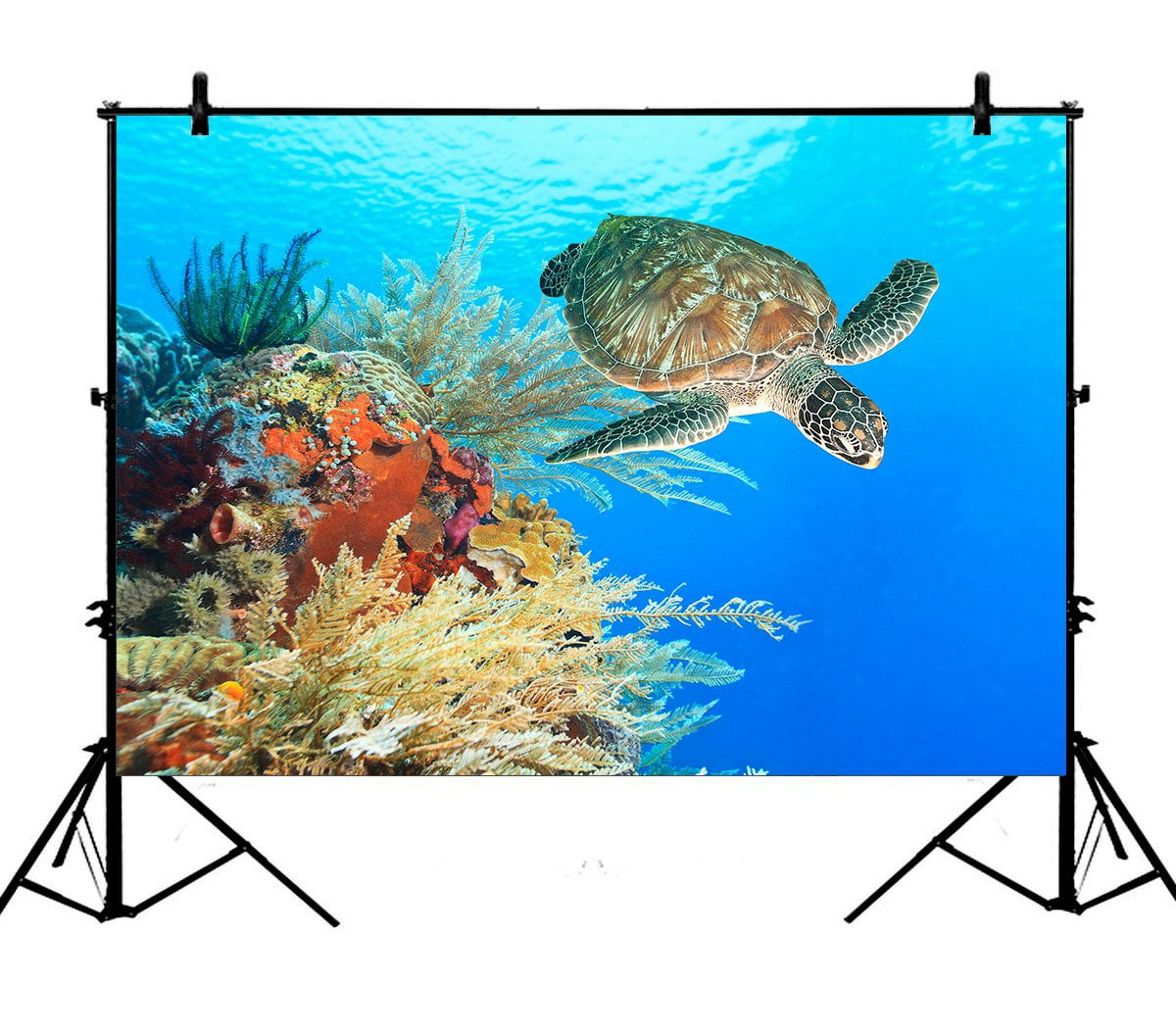 PHFZK 7x5ft Ocean Backdrops, Underwater World Sea Turtle and Coral Reef ...