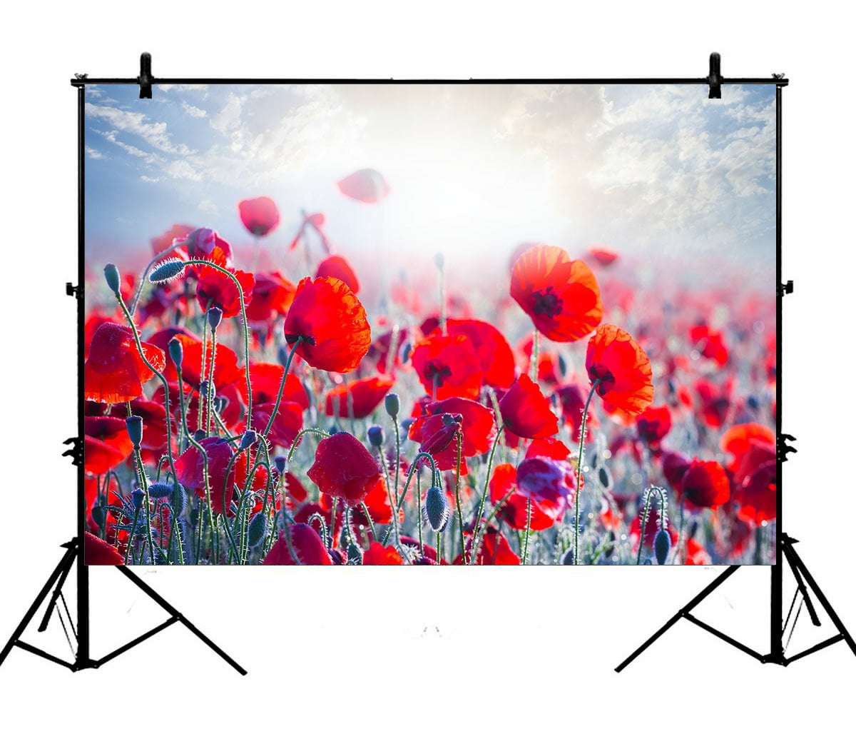 PHFZK 7x5ft Poppy Flower Backdrops, Red Poppies Field against the ...