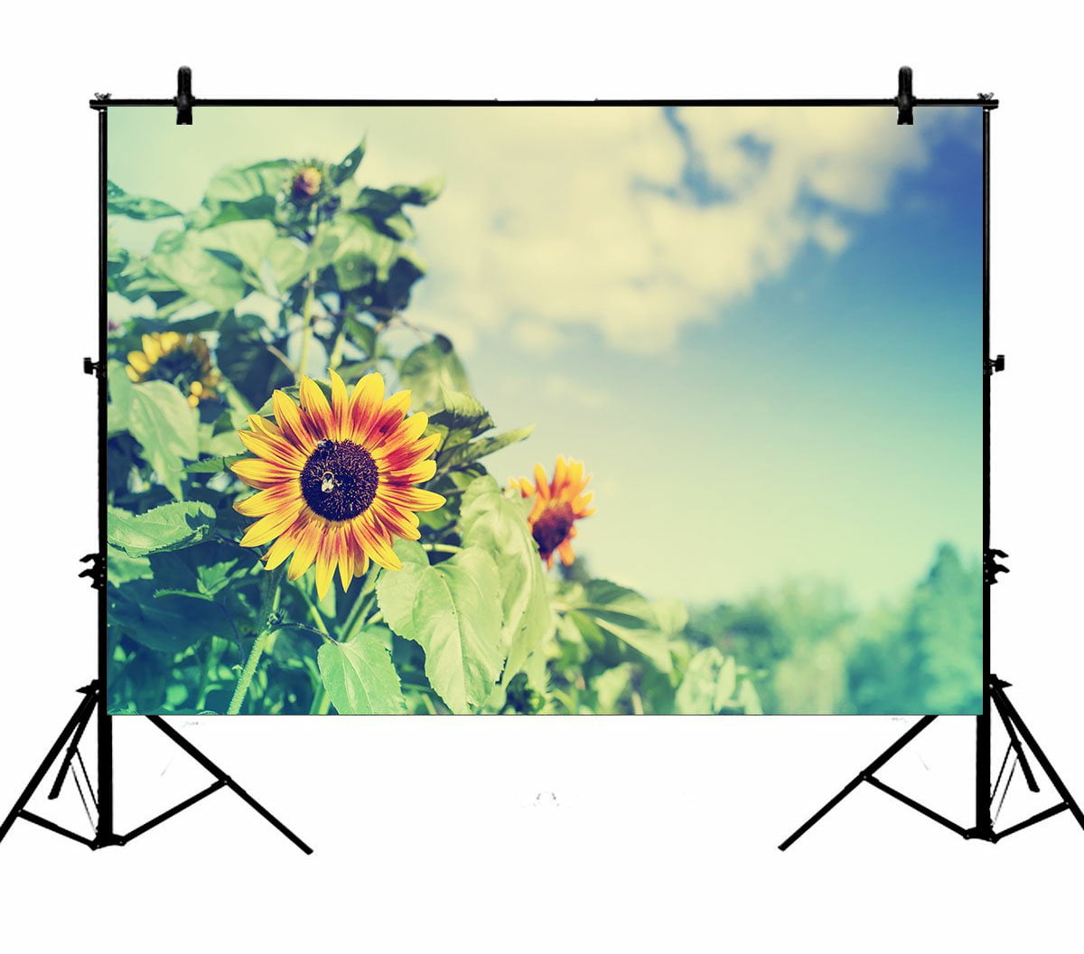 PHFZK 7x5ft Summer Landscape Backdrops, Nature Art Sunflowers Fields ...