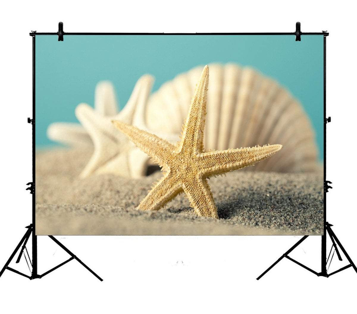 PHFZK 7x5ft Summer Seascape Backdrops, Starfish and Seashell on the ...