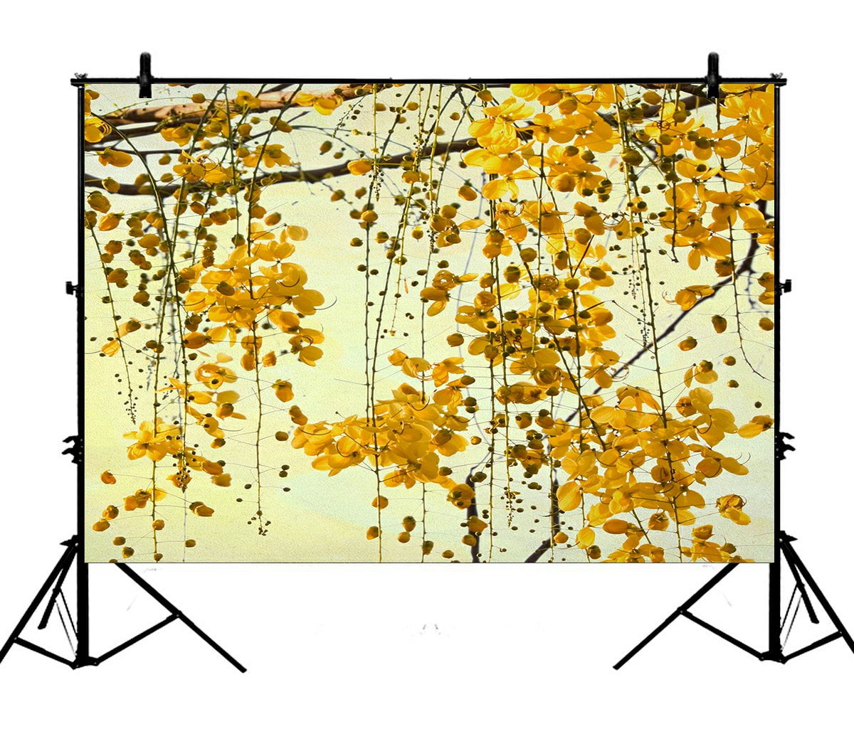PHFZK 7x5ft Tree Art Backdrops, National Tree of Thailand Golden ...