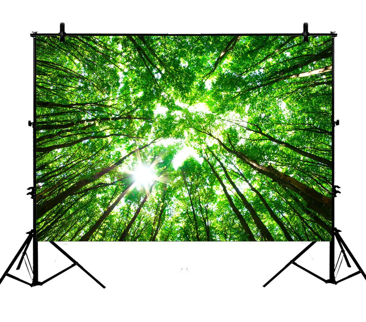 PHFZK 7x5ft Tree of Life Backdrops, Early Morning Sun in the Green ...