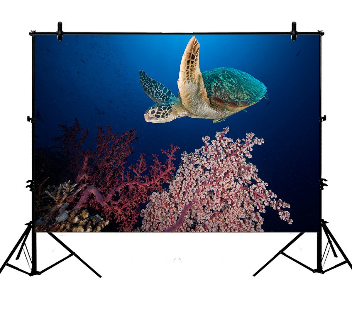 PHFZK 7x5ft Underwater Ocean Animal Backdrops, Sea Turtle at the Coral ...