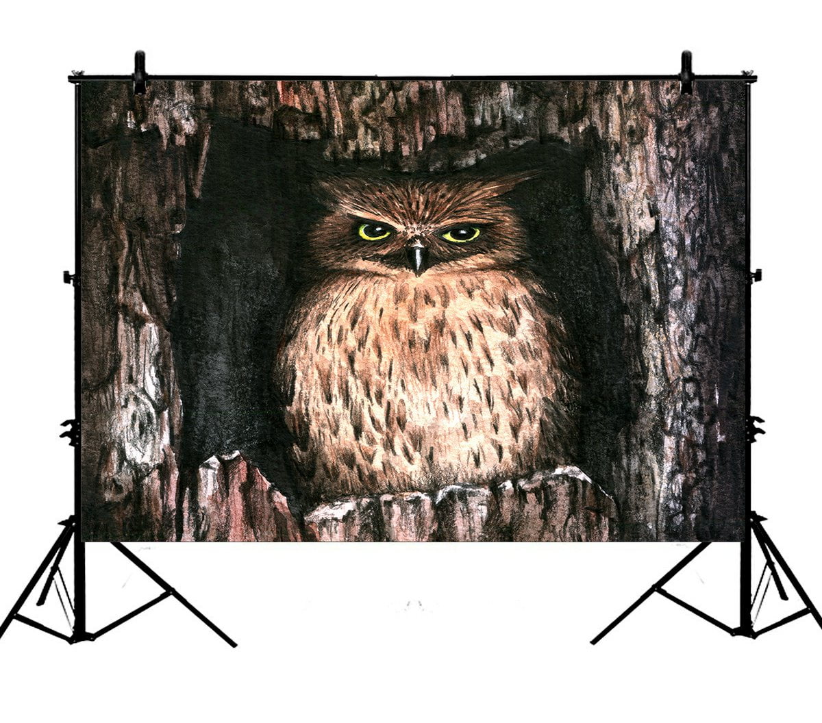 PHFZK 7x5ft Watercolor Animal Backdrops, Cool Owl Photography Backdrops ...