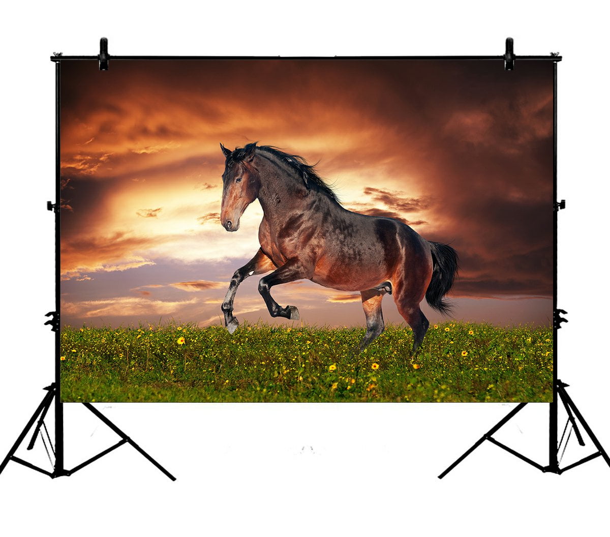 PHFZK 7x5ft Wild Animal Art Backdrops, Beautiful Brown Horse Running ...