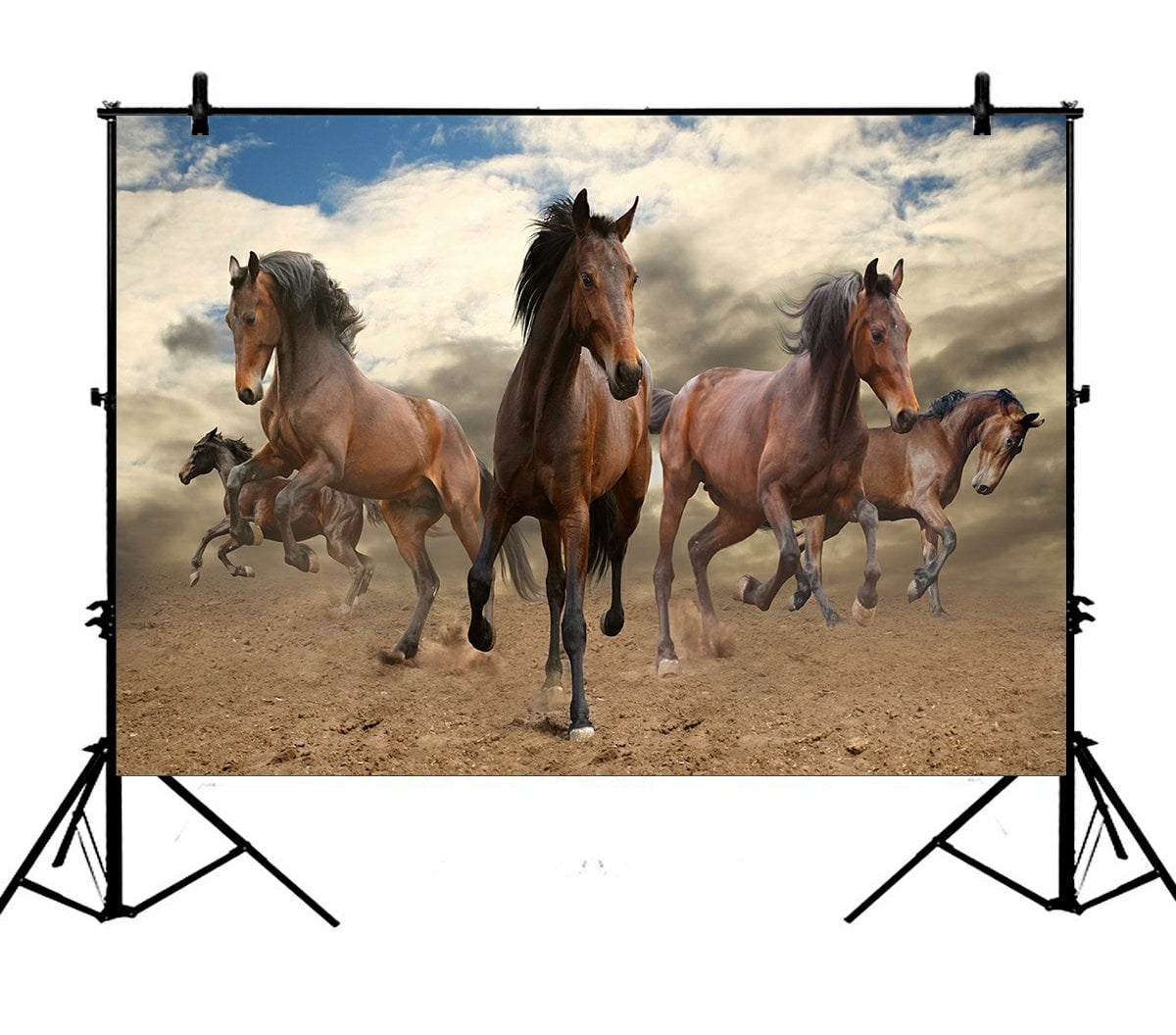 PHFZK 7x5ft Wild Animal Backdrops, Running Horses Photography Backdrops ...