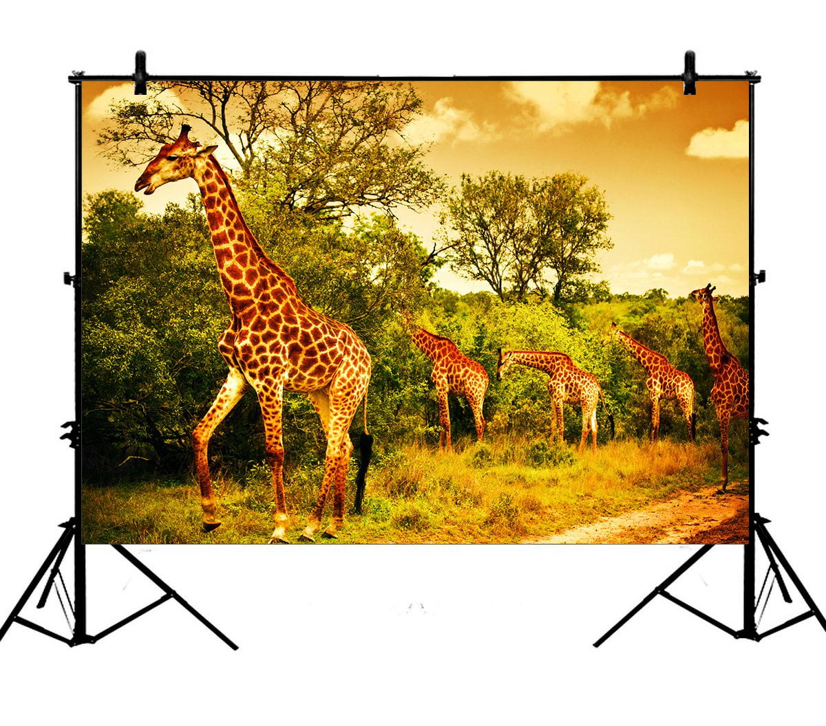 PHFZK 7x5ft Wildlife African Safari Backdrops, Giraffe and Animals Art ...