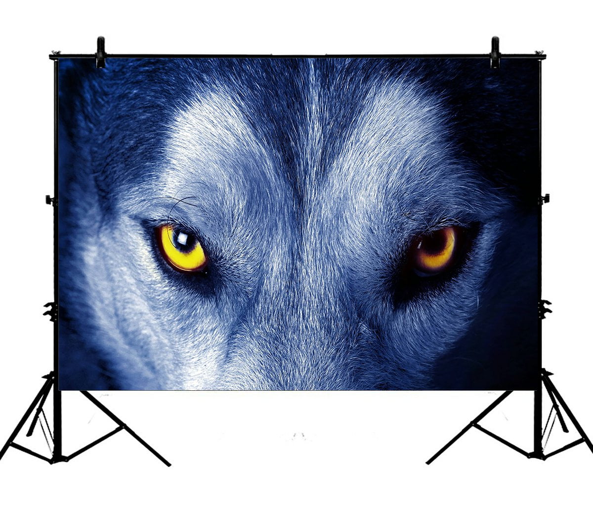 PHFZK 7x5ft Wildlife Animal Backdrops, Beautiful Eyes of Wolf ...