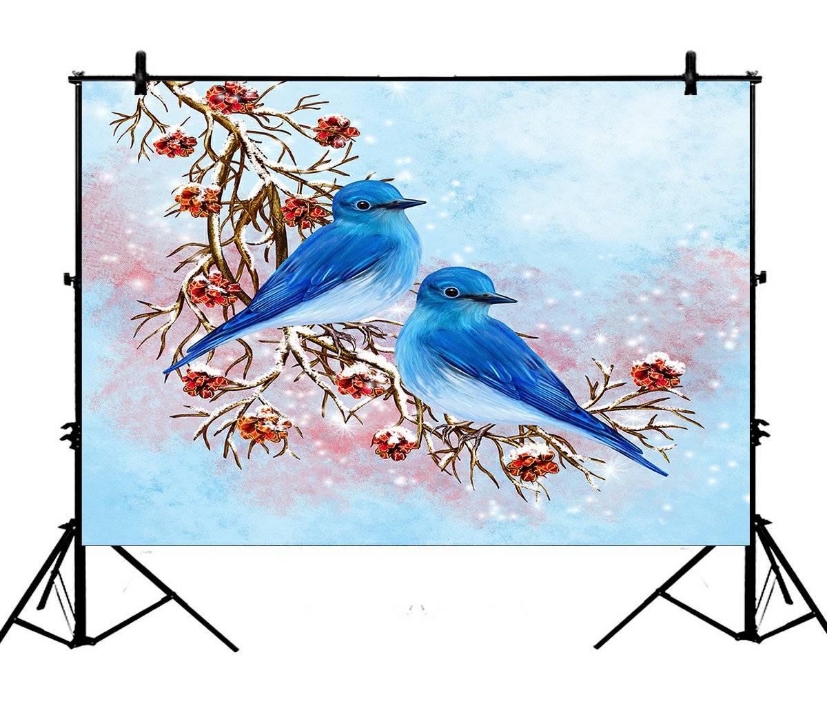 PHFZK 7x5ft Winter Landscape with Berries Snow Backdrops, Blue Birds ...