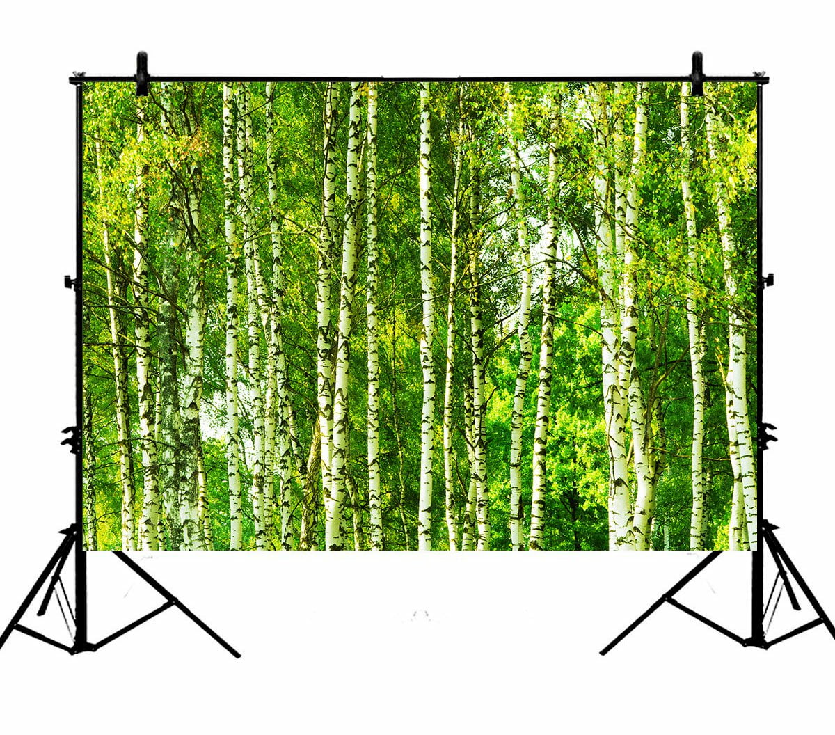 PHFZK 7x5ft Woodland Forest Backdrops, Majestic Landscape with Green ...