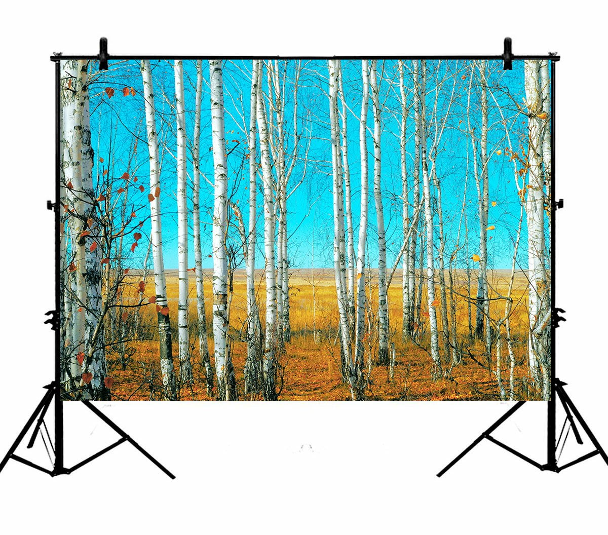 PHFZK 7x5ft Woodland Forest Landscape Backdrops, Birch Tree Branches ...