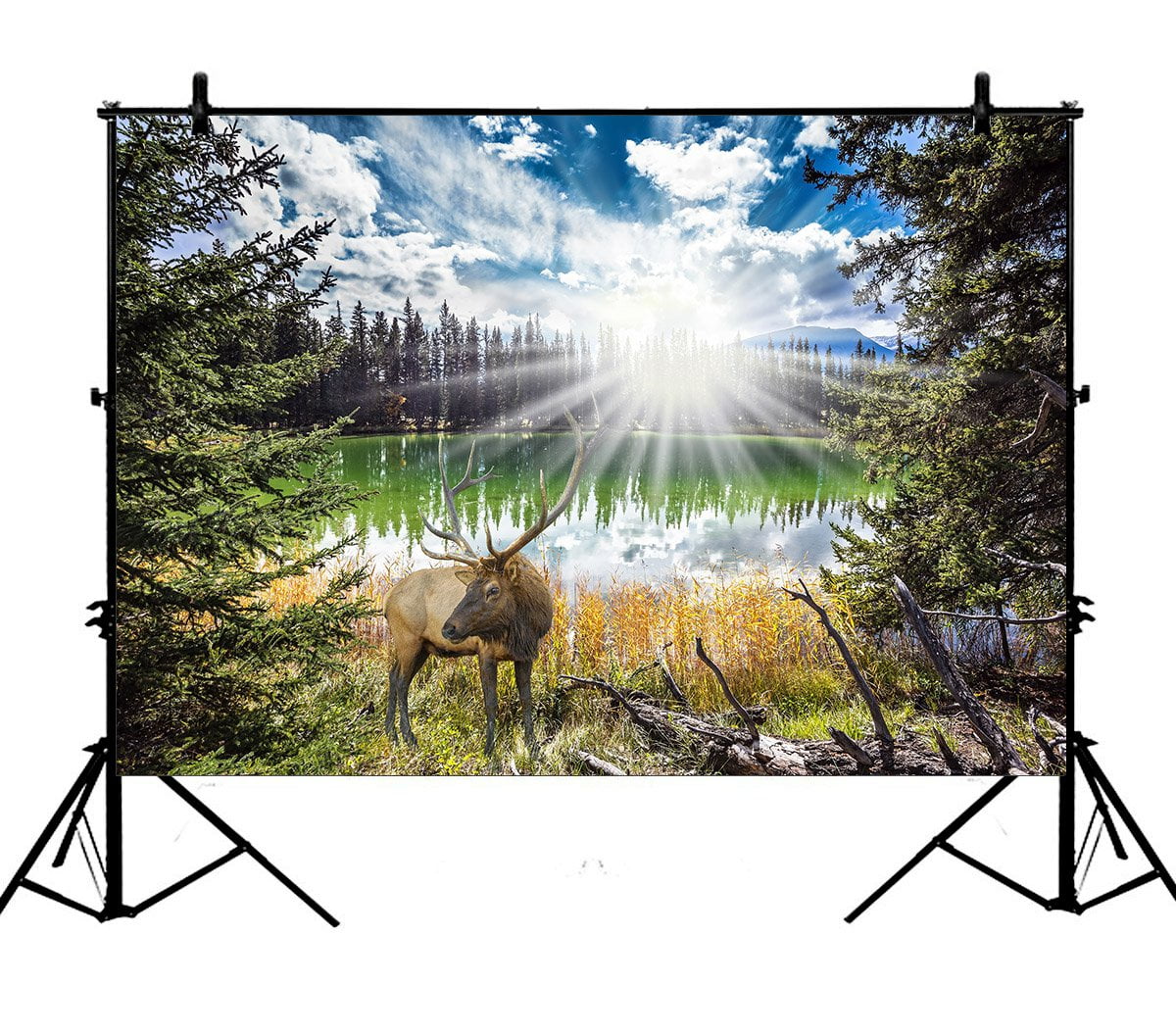 PHFZK 7x5ft Woodland Landscape Backdrops, Deer Reindeer Bule Sky Cloud ...