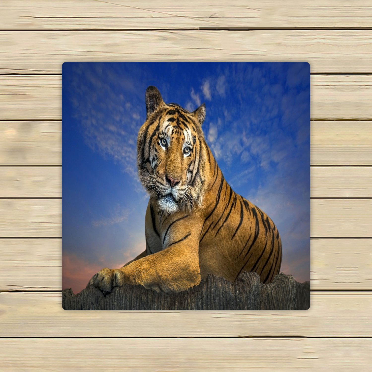 PHFZK Landscape with Beautiful Sky Towel, Animal Tiger Hand Towel Bath ...