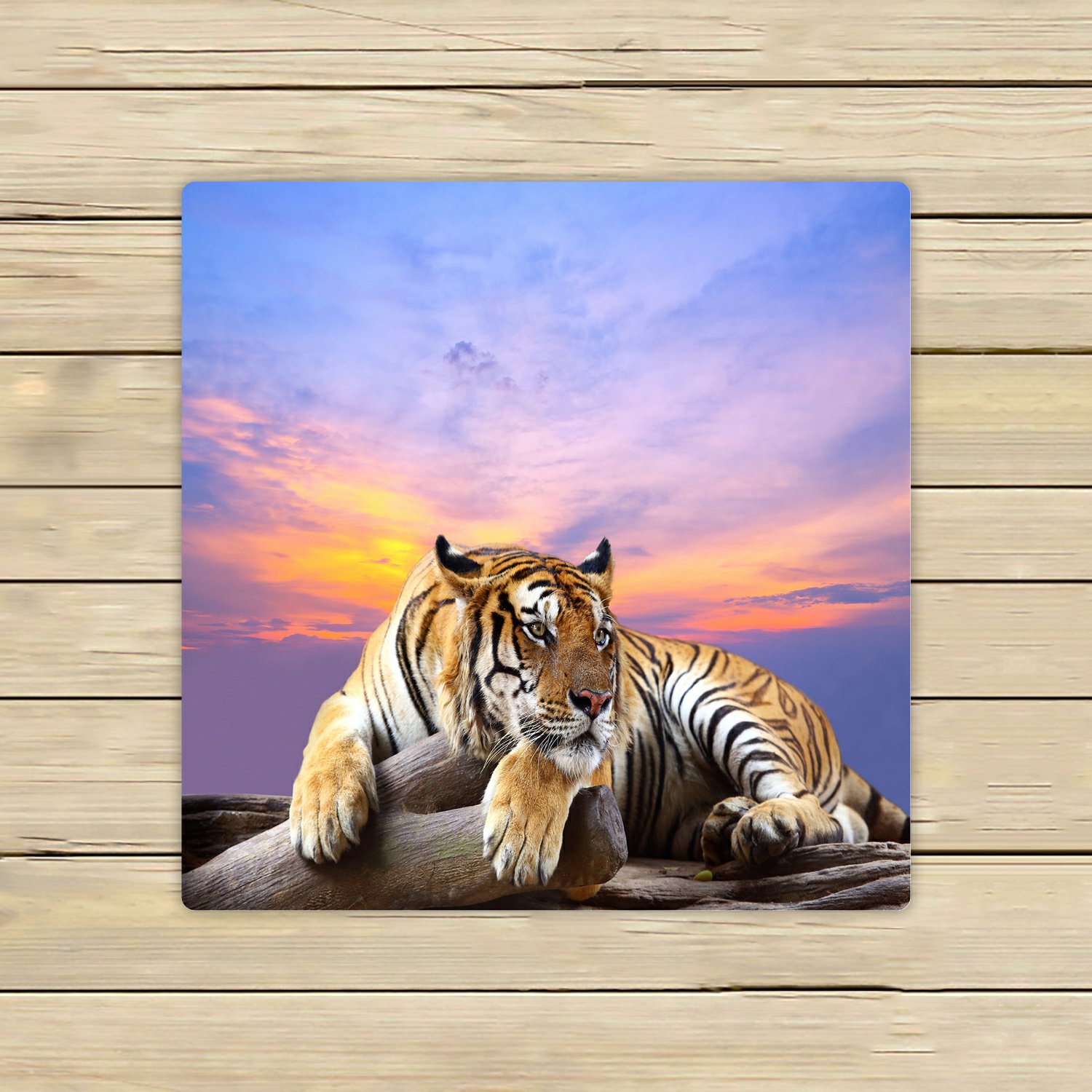 PHFZK Lying Tiger under Beautiful Sky Hand Towel Bath Bathroom Shower ...
