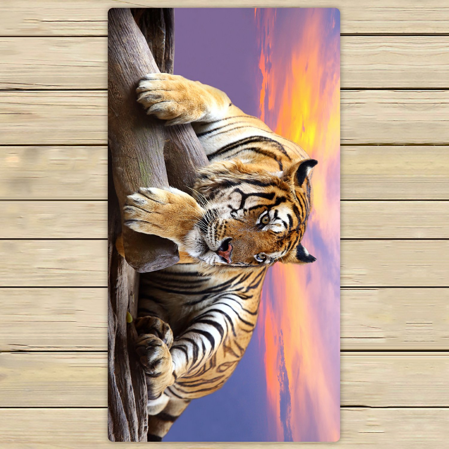 PHFZK Lying Tiger under Beautiful Sky Hand Towel Bath Bathroom Shower ...