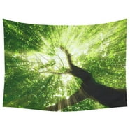 YKCG Autumn Park Scene Fall Trees and Leaves Wall Hanging Tapestry Wall ...