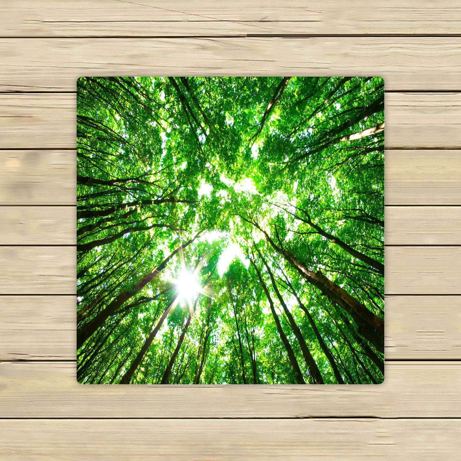PHFZK Tree of Life Towel, Early Morning Sun in the Green Forest Hand ...