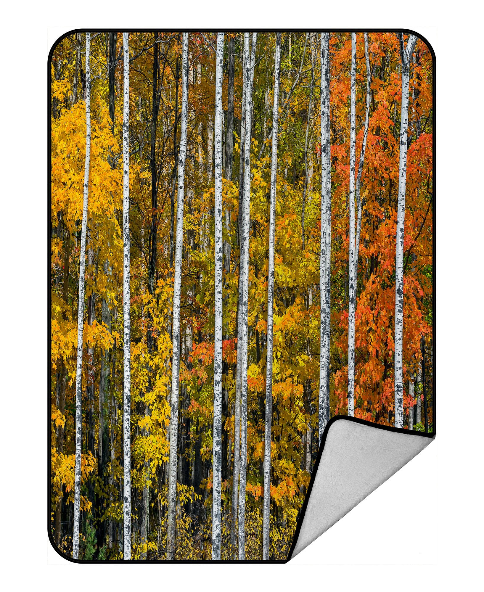 PHFZK Woodland Forest Blanket, Woodlsy Foliage Colorful Tree and Leaves ...