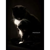 PhotoCat. - Walmart.com