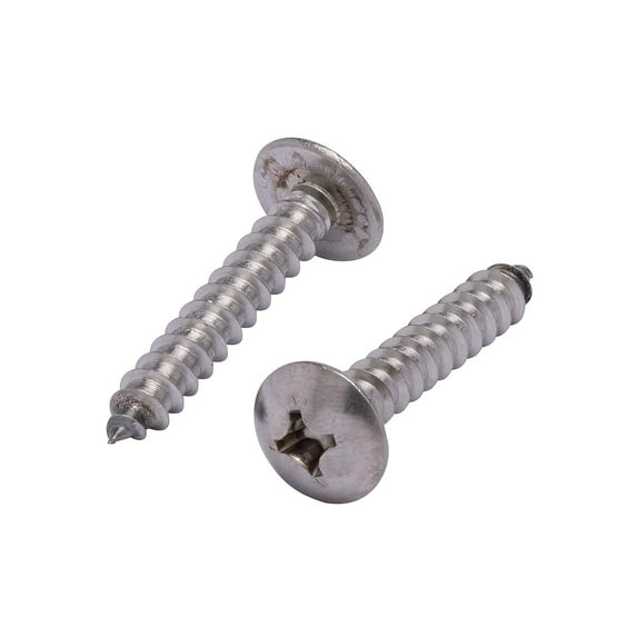 PHYSUN-No. 12 x 1-1/4" Stainless Truss Head Phillips Wood Screw, (25 pc ...
