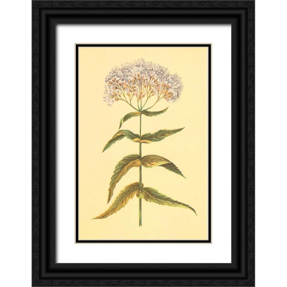 PI Collection 11x14 Black Ornate Wood Framed with Double Matting Museum ...