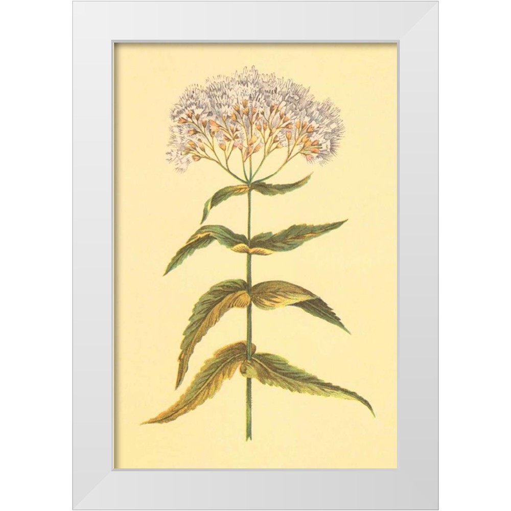 PI Collection 11x14 White Modern Wood Framed Museum Art Print Titled ...