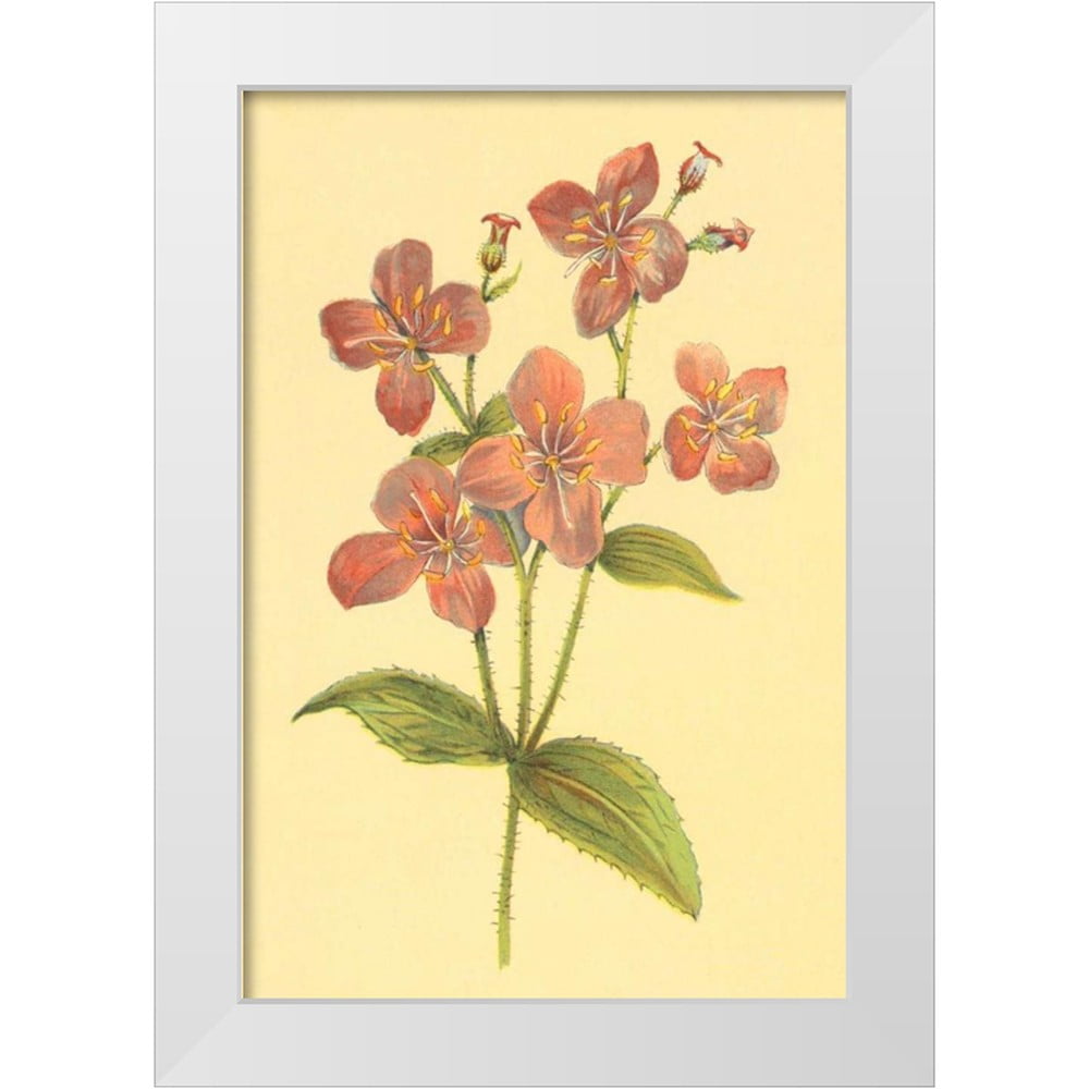 PI Collection 11x14 White Modern Wood Framed Museum Art Print Titled ...