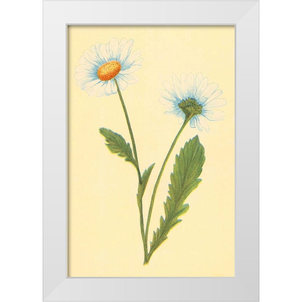 PI Collection 11x14 White Modern Wood Framed Museum Art Print Titled ...