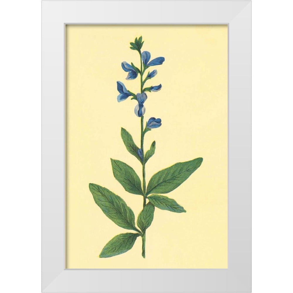 PI Collection 11x14 White Modern Wood Framed Museum Art Print Titled ...