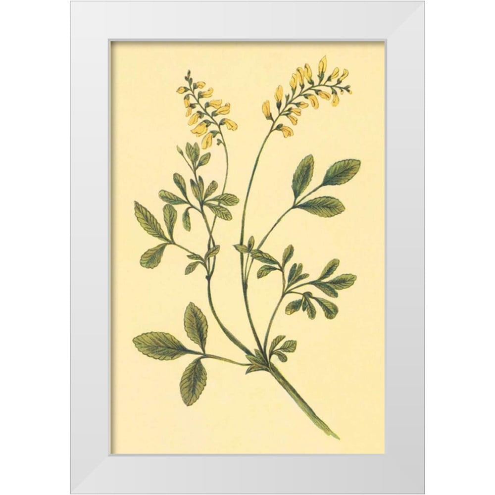 PI Collection 13x18 White Modern Wood Framed Museum Art Print Titled ...