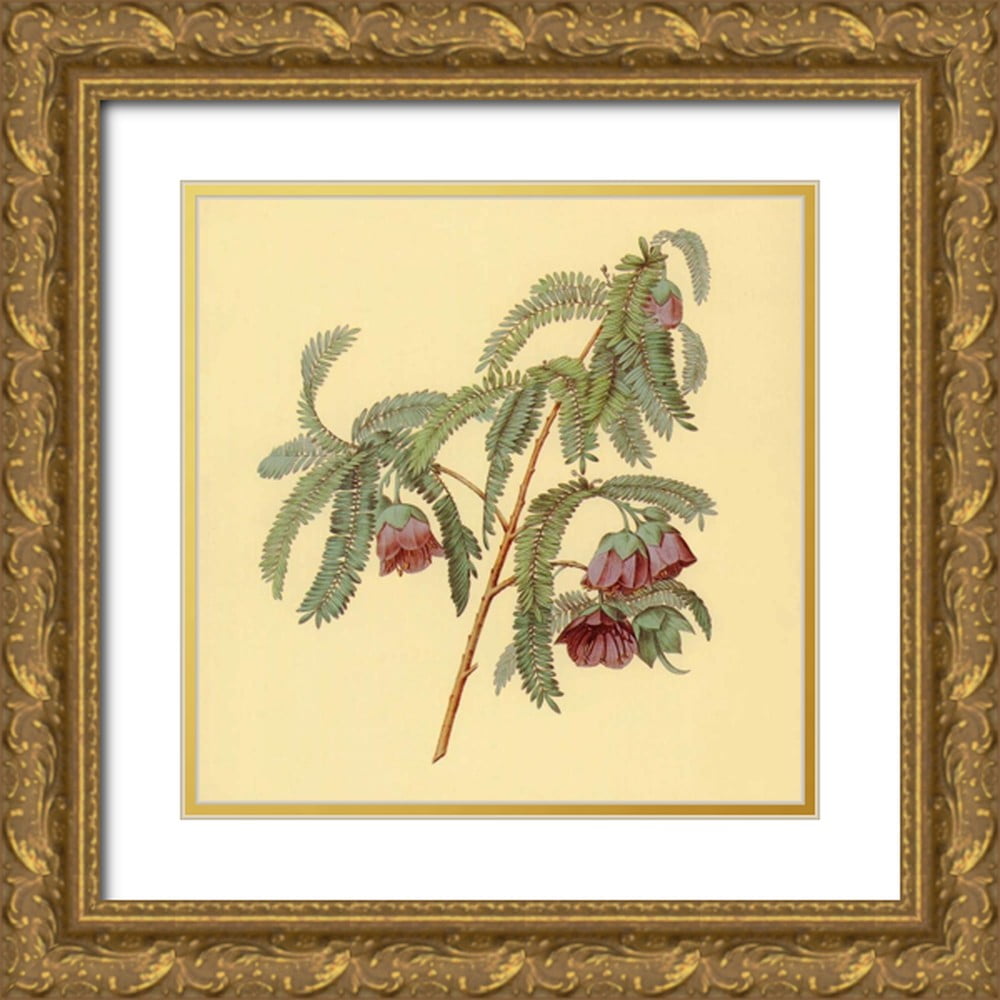 PI Collection 15x15 Gold Ornate Wood Framed with Double Matting Museum ...