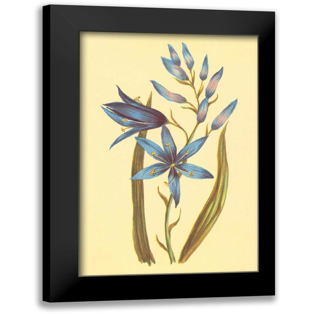 PI Collection 17x24 Black Modern Framed Museum Art Print Titled ...