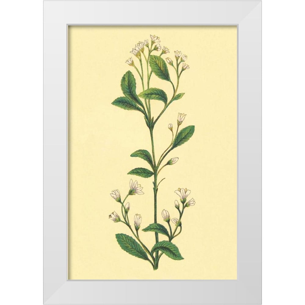 PI Collection 17x24 White Modern Wood Framed Museum Art Print Titled ...