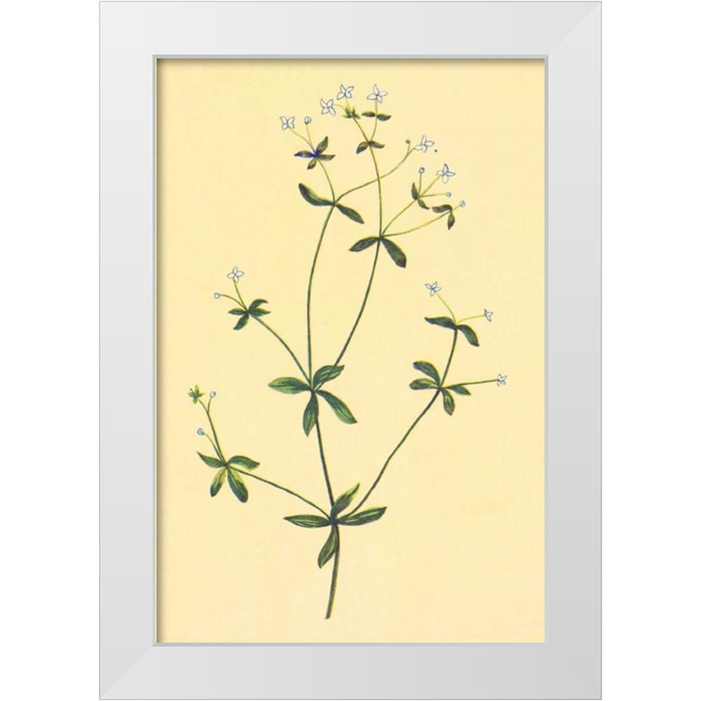 PI Collection 23x32 White Modern Wood Framed Museum Art Print Titled ...