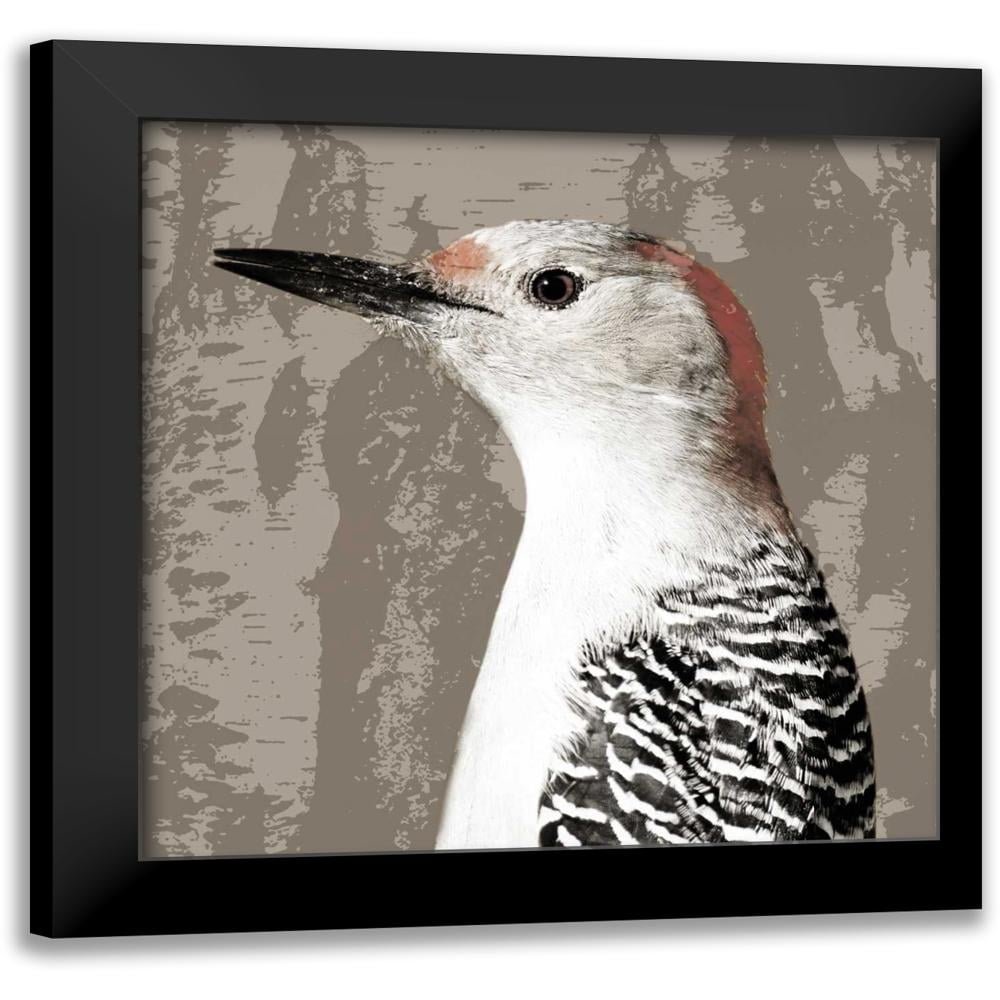 PI Studio 15x15 Black Modern Framed Museum Art Print Titled - Feathered ...