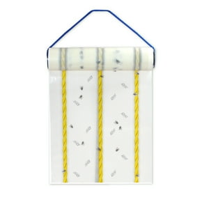 Household Fly Traps & Insect Control Solutions | Walmart.com