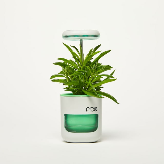 PICO Planter - Walmart.com