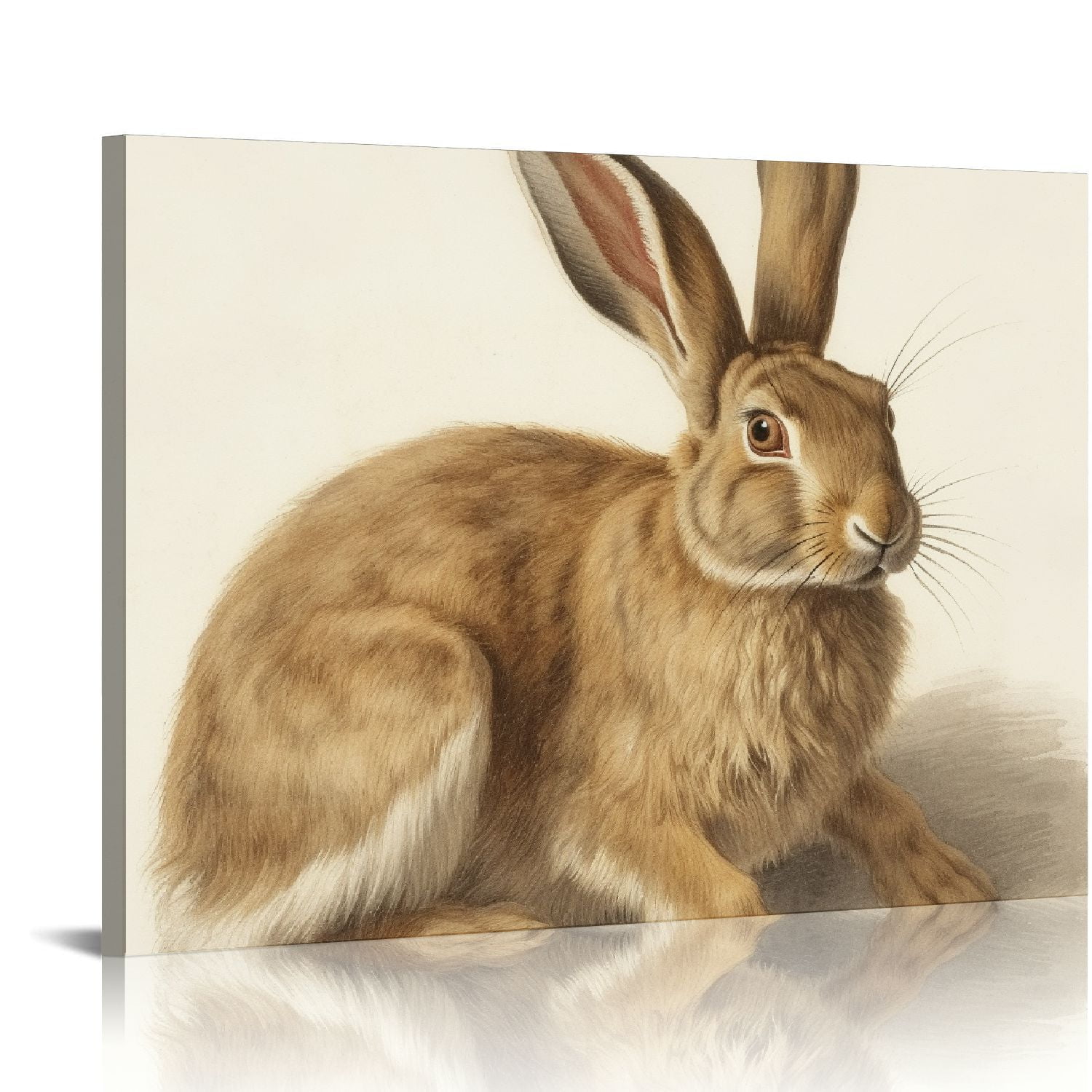 PIKWEEK Albrecht Durer Art Print Poster Young Hare Fine Artwork Canvas ...