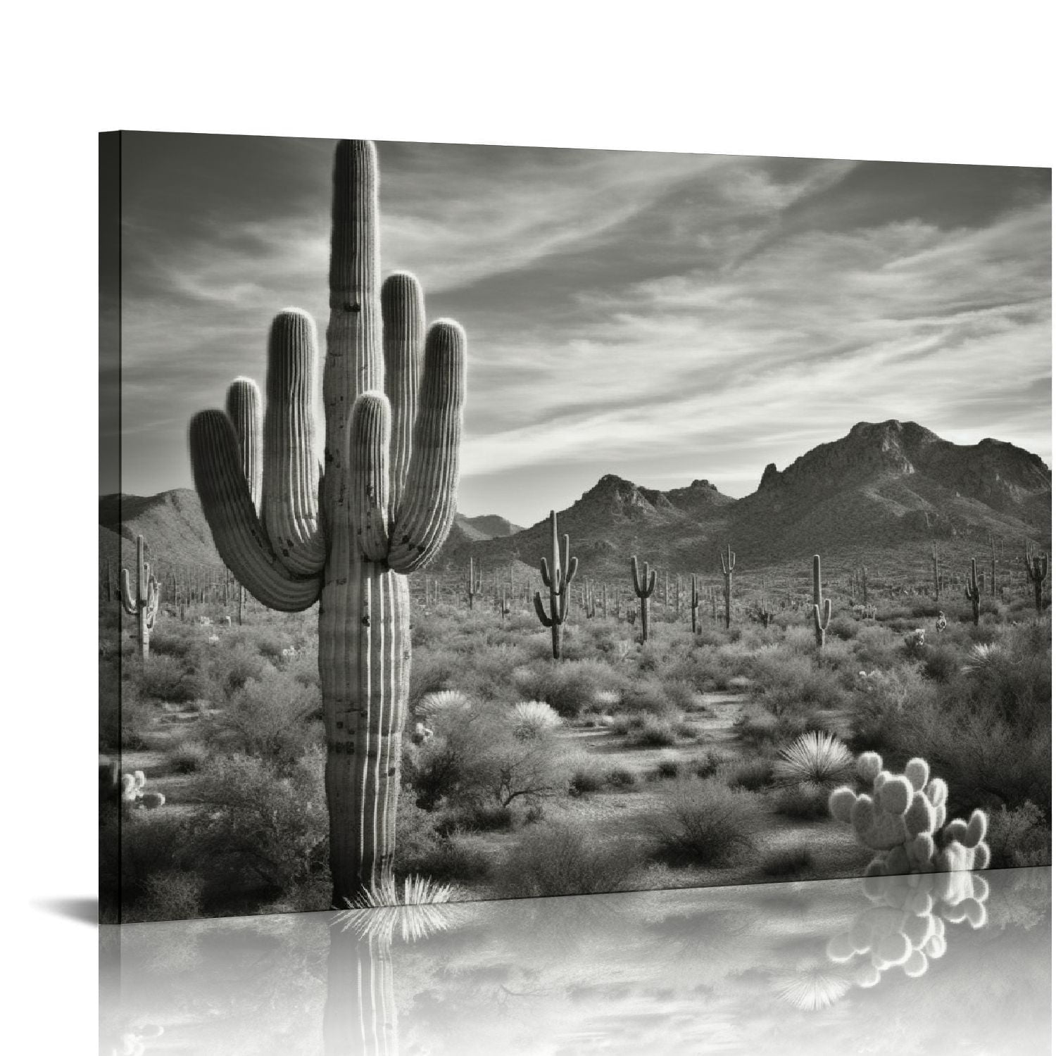 PIKWEEK Arizona Desert Print on Canvas Black And White Wall Art Arizona ...