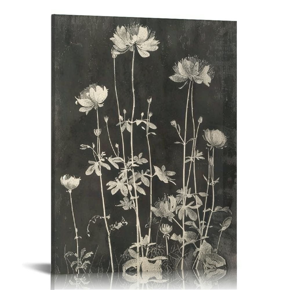 PIKWEEK Black And White Dandelion Canvas Wall Art Vintage Dandelion ...