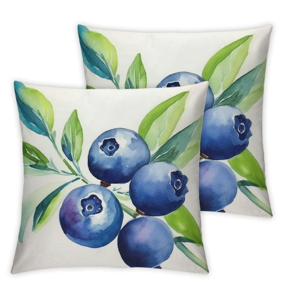 PIKWEEK Blueberry Pillowcases 2 Pack Nature Watercolor Painting Fruit ...