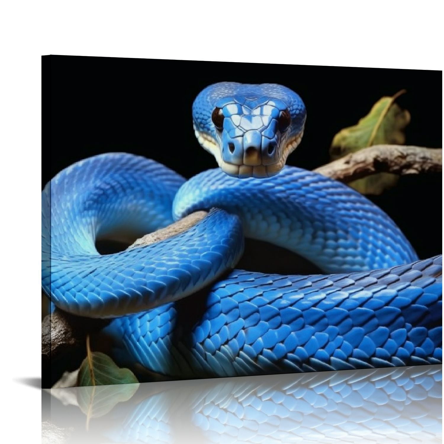 PIKWEEK Canvas- One of The Ten Most Beautiful and Rare Snakes in The ...