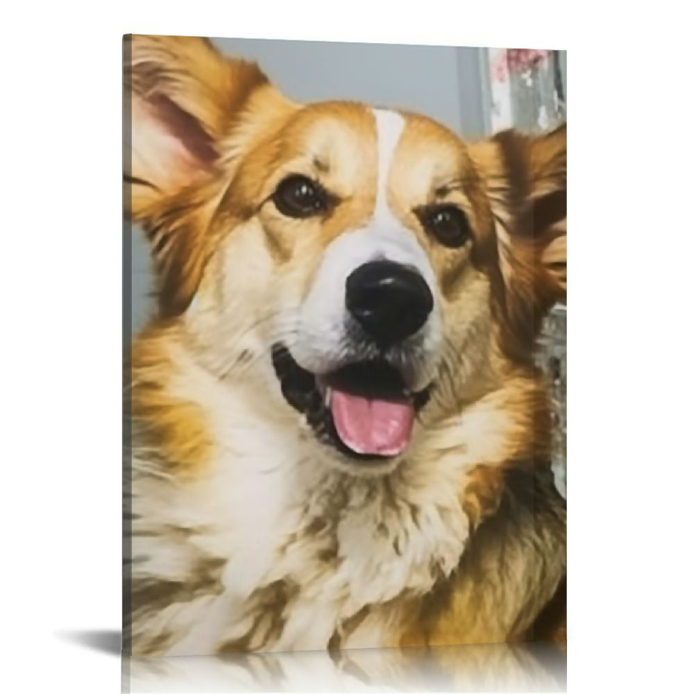 PIKWEEK Canvas Wall Art Ready to Hang scottish fold cat and corgi dog ...