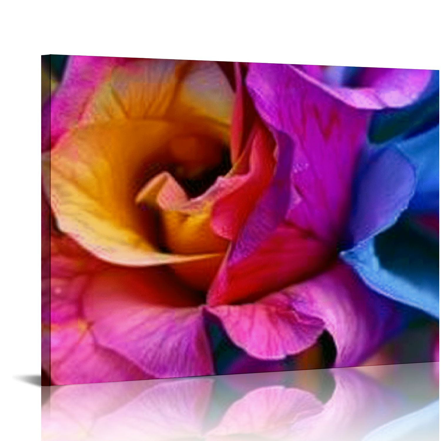 Wuche Close up of Rainbow Rose Heart Blue rosess and Pictures Wall ...