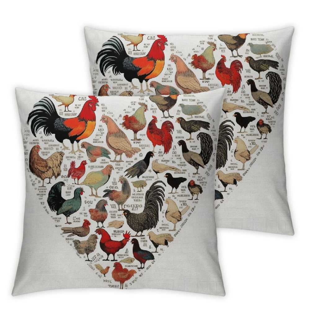 PIKWEEK Retro Chicken Breeds Heart-Shaped Chart Throw Pillow Cover ...