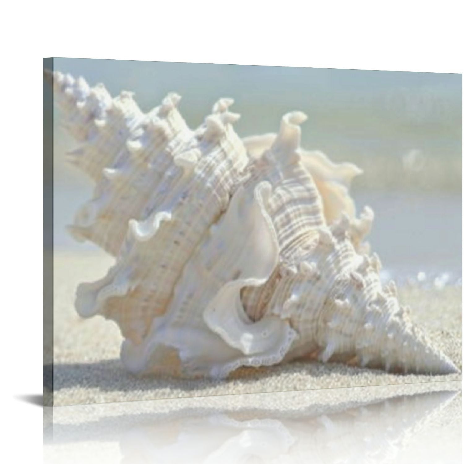PIKWEEK Seashells Wall Art Canvas Print: Seashore Scene Artwork ...