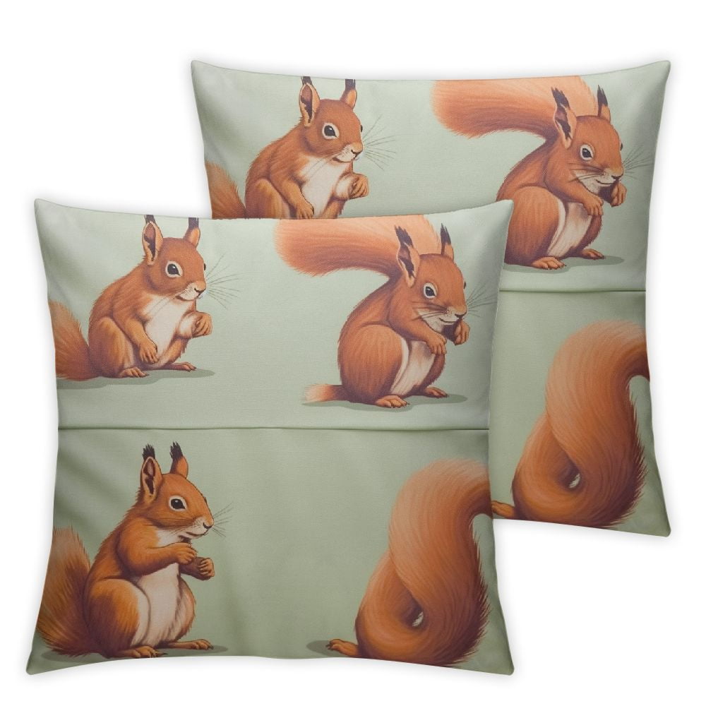 PIKWEEK Squirrel Throw Pillow Cushion Cover, Grammar Prepositions Nut and Fluffy Animal Cartoon ...