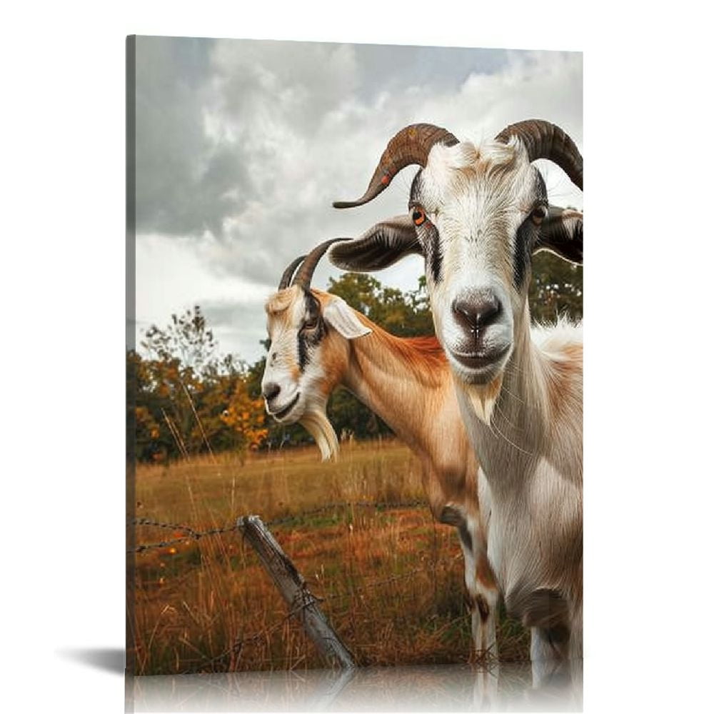 Wuche Vintage Goat Decor Gift Tin Sign for Retro Farm Home Kitchen Room ...